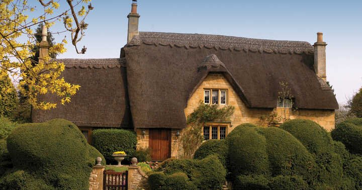 Thatch Building Regulations | Thatching Advisory Services