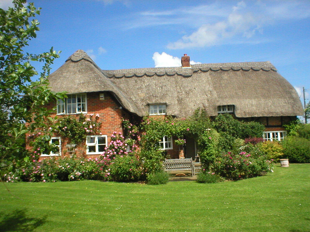 Buying a thatched property | Thatching Advisory Services